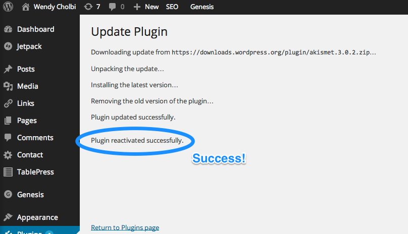 How to Update a WordPress Plugin - Wendy Cholbi